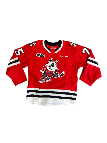 Game Worn/Issued Jersey – Niagara IceDogs Retail Store