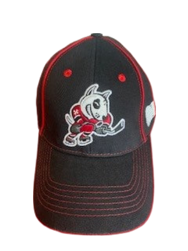 IceDogs Logo Hat – Niagara IceDogs Retail Store